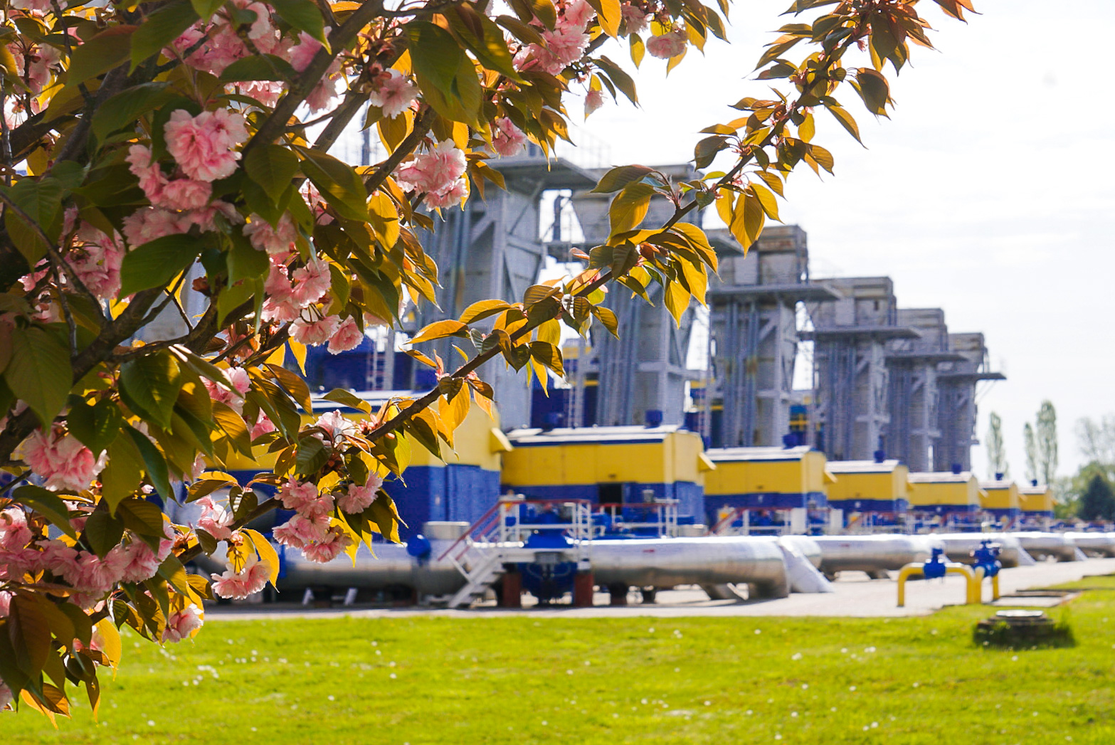 Gas Transmission System Operator of Ukraine Case Study | Pexip